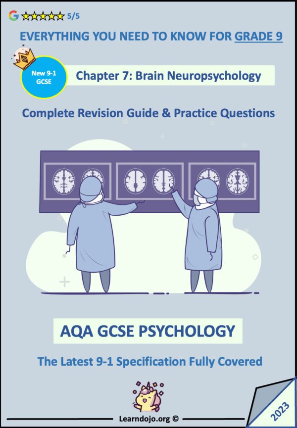 AQA GCSE Psychology Brain and Neuropsychology Revision